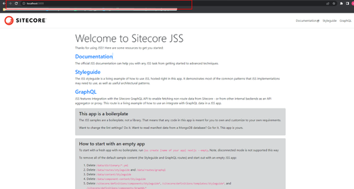 How to set up Headless NextJS app in Disconnected Mode on Sitecore? - Addact Technologie